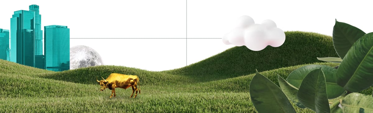 Algorand's 2025+ roadmap: Building for real-world use